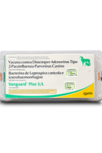 Vanguard Plus 5 L4 – MegagroStore